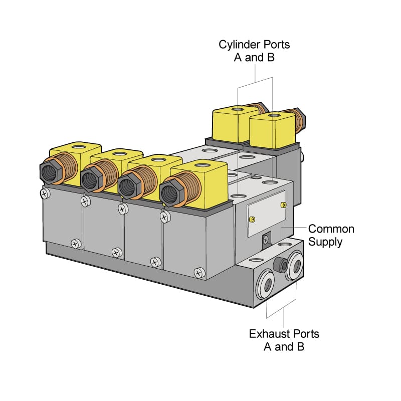 Multi-Skill Training Services Illustration and Animation - Lovett ...