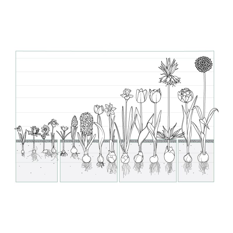 TNLA Training Manual for Professional Landscape Architects