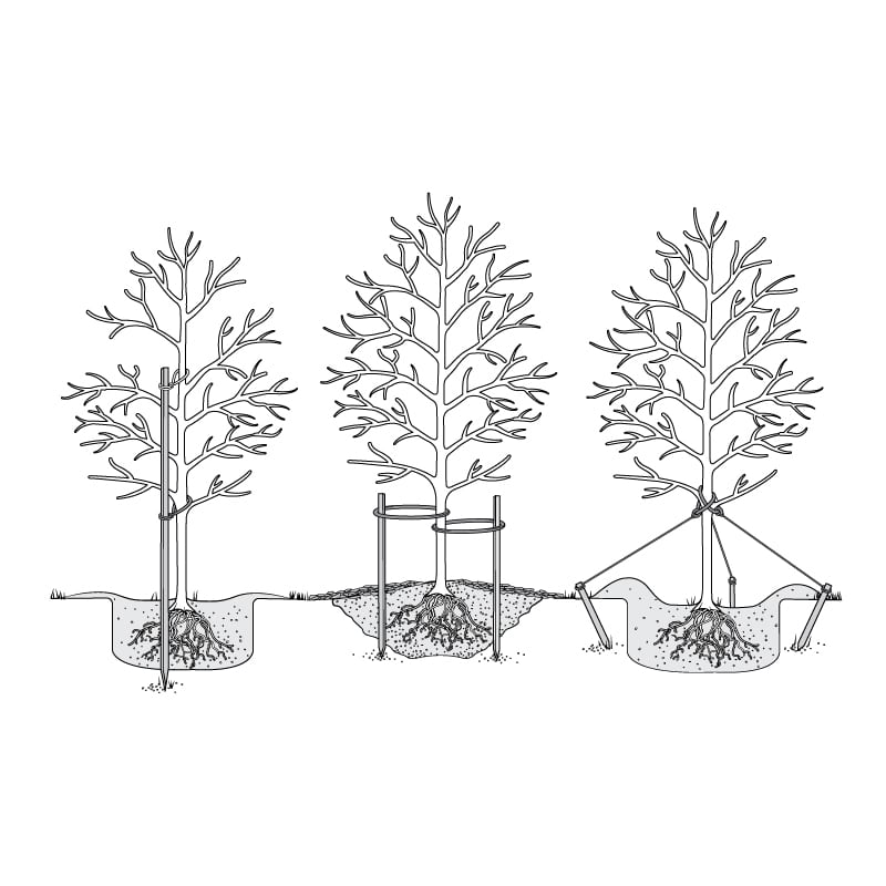 TNLA Training Manual for Professional Landscape Architects