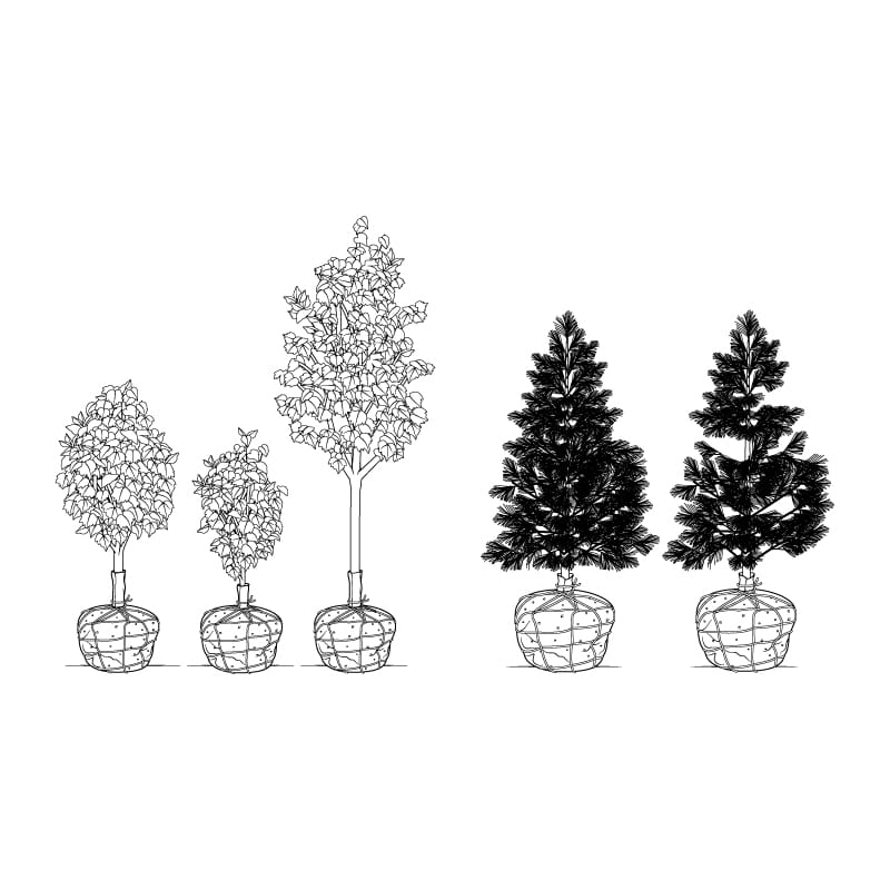 TNLA Training Manual for Professional Landscape Architects